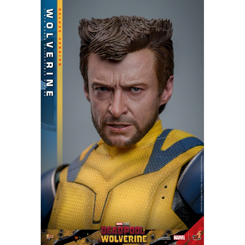 Wolverine Hot Toys Movie Masterpiece deluxe figure 1/6