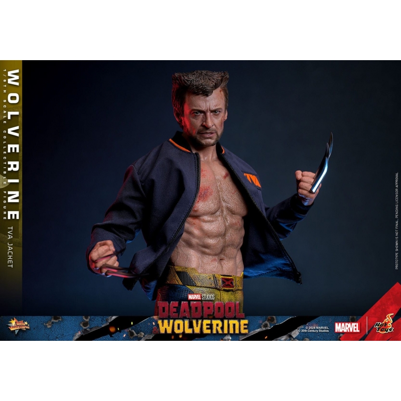 Wolverine TVA Jacket Hot Toys MMS756 : Deadpool and Wolverine figure