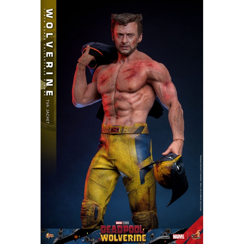 Wolverine TVA Jacket Hot Toys MMS756 : Deadpool and Wolverine figure