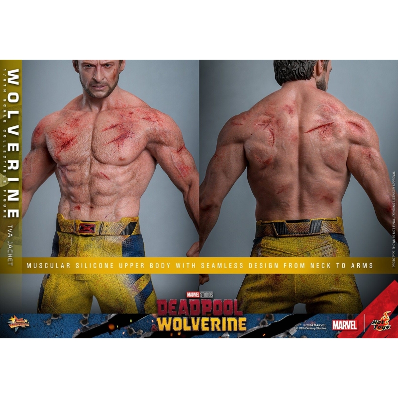 Wolverine TVA Jacket Hot Toys MMS756 : Deadpool and Wolverine figure
