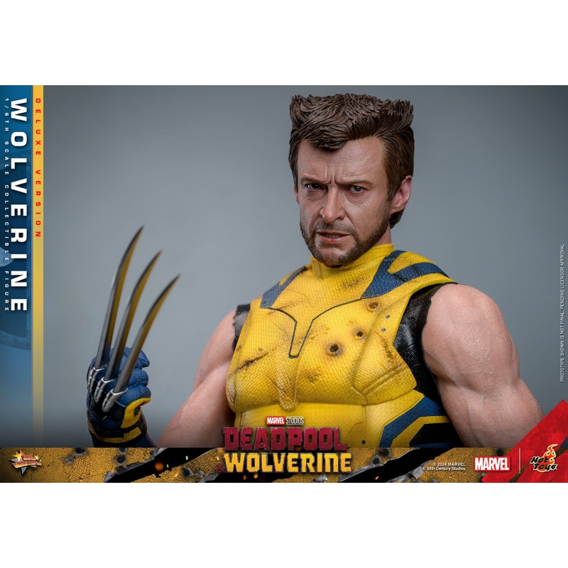 Wolverine Hot Toys MMS754 Movie Masterpiece deluxe figurine 1/6