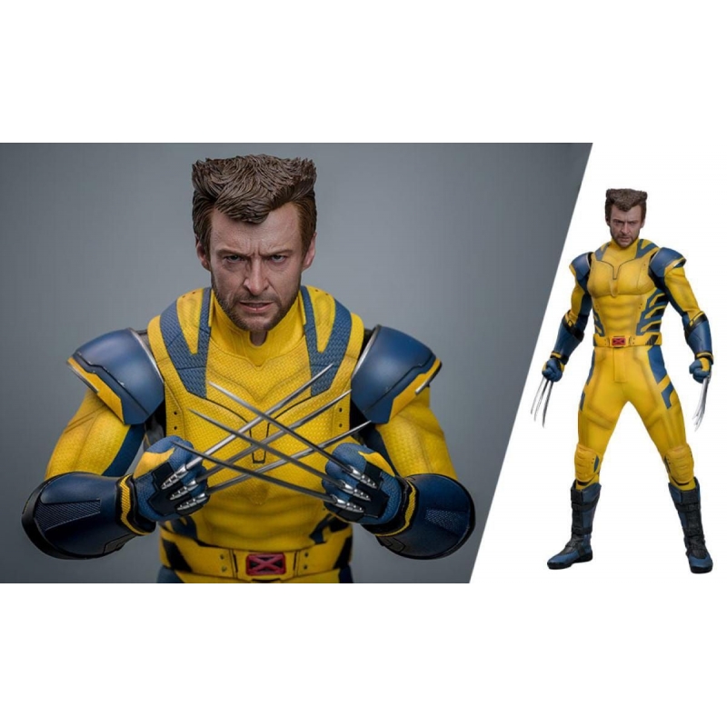 Wolverine Hot Toys MMS754 Movie Masterpiece deluxe figurine 1/6