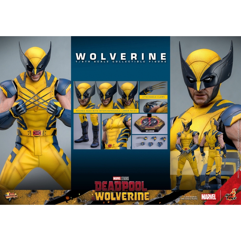 Wolverine Hot Toys Movie Masterpiece collector figure 1/6