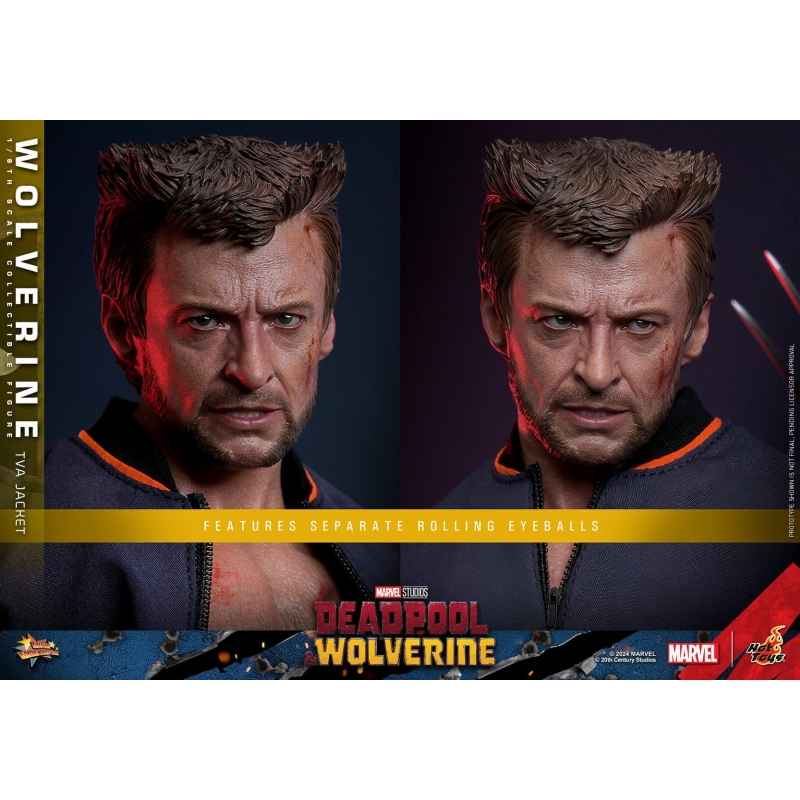 Wolverine TVA Jacket Hot Toys MMS756 : figurine Deadpool et Wolverine