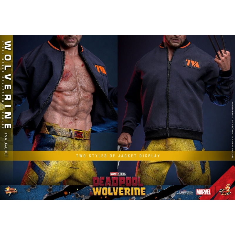 Wolverine TVA Jacket Hot Toys MMS756 : Deadpool and Wolverine figure