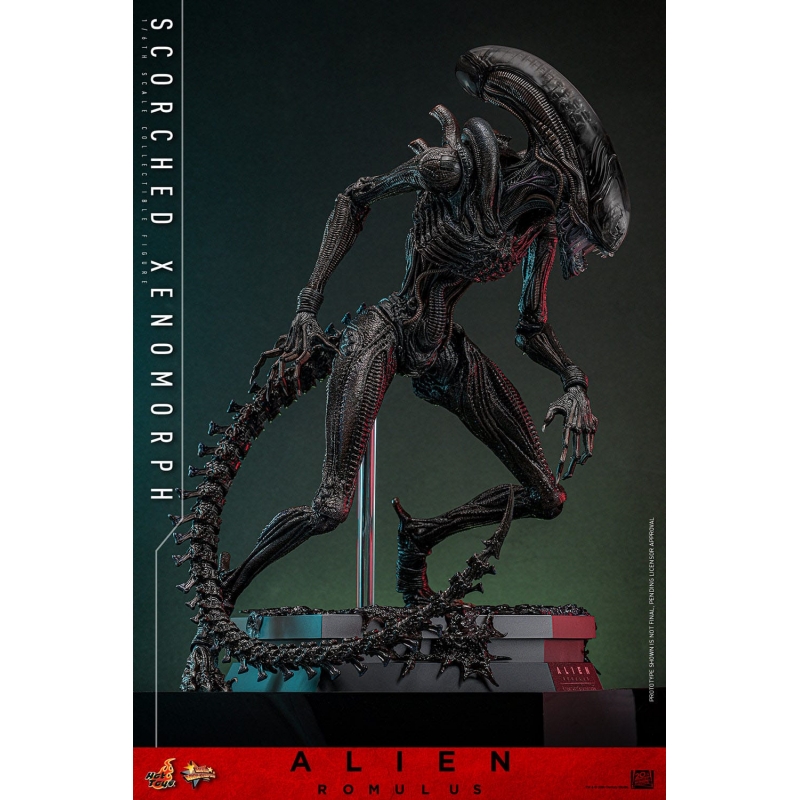 Scorched Xenomorph Hot Toys MMS784 : Alien Romulus 1/6 action figure