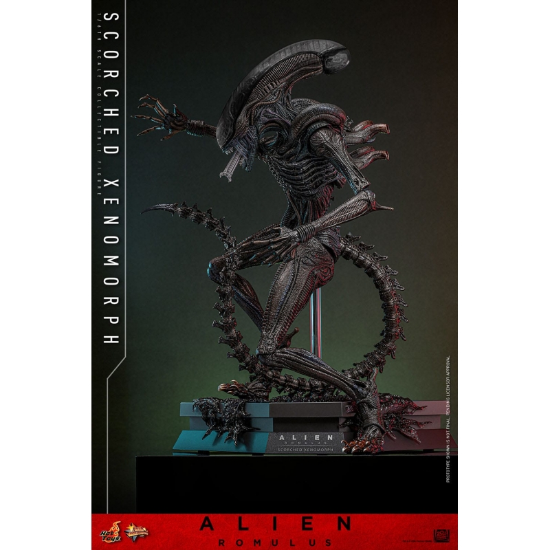 Scorched Xenomorph Hot Toys MMS784 : Alien Romulus 1/6 action figure