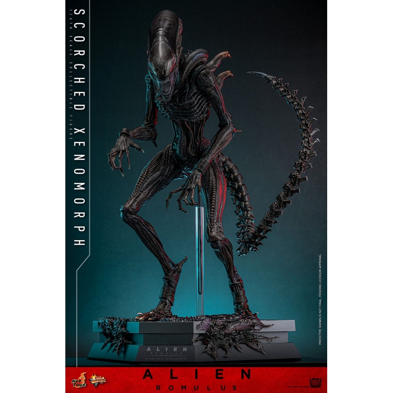 Scorched Xenomorph Hot Toys MMS784 : Alien Romulus 1/6 action figure