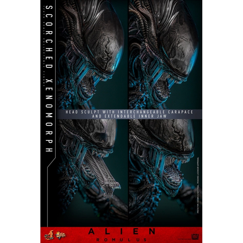 Scorched Xenomorph Hot Toys MMS784 : Alien Romulus 1/6 action figure