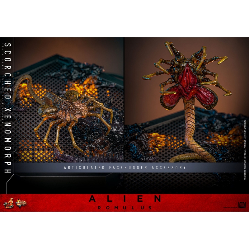 Scorched Xenomorph Hot Toys MMS784 : Alien Romulus 1/6 action figure