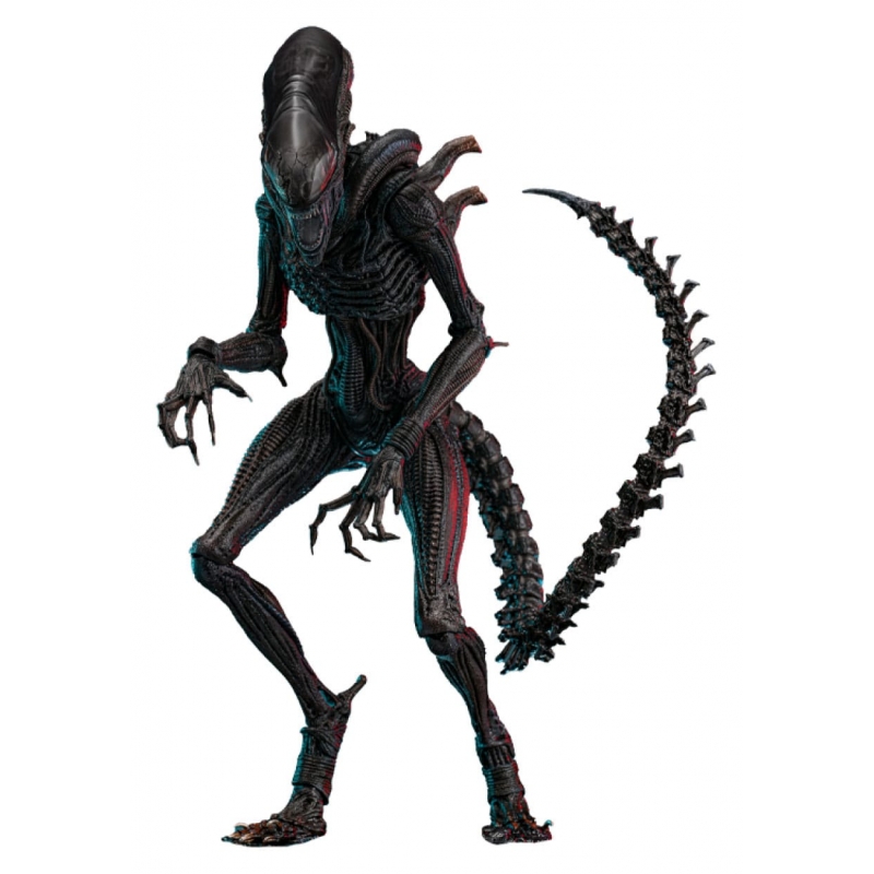 Scorched Xenomorph Hot Toys MMS784 : Alien Romulus 1/6 action figure