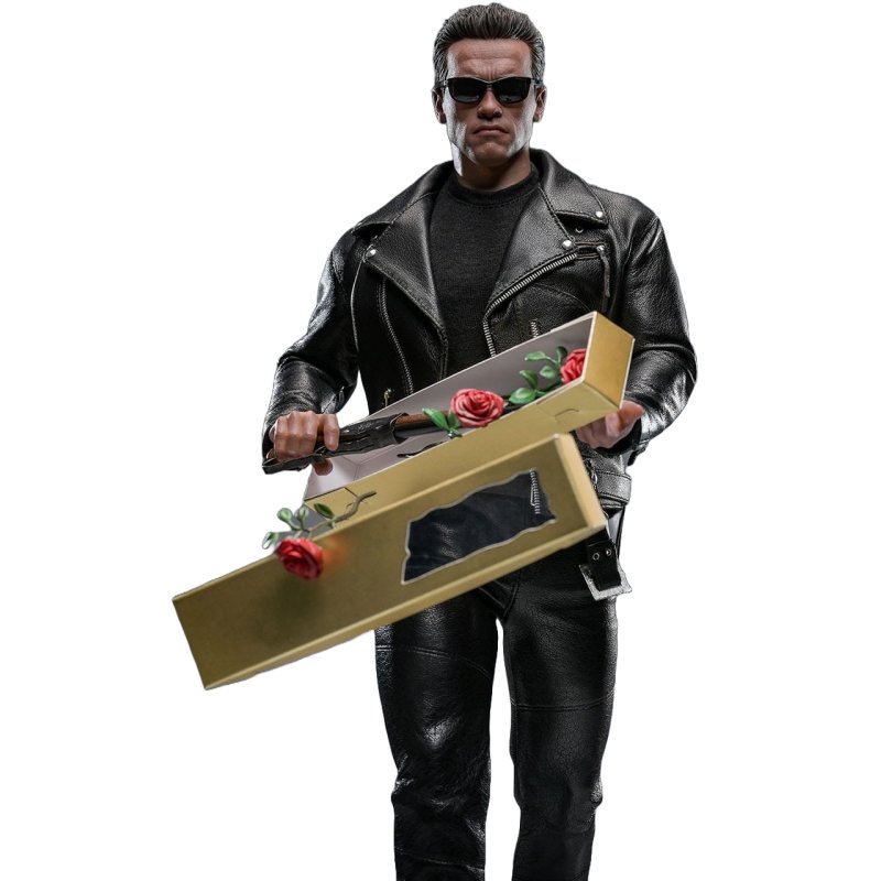 Looking for a Terminator figure for your collection?