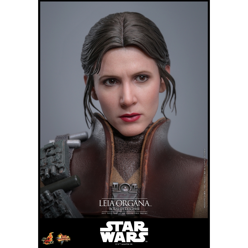 Leia Organa (Boushh Disguise) actiefiguur van Hot Toys