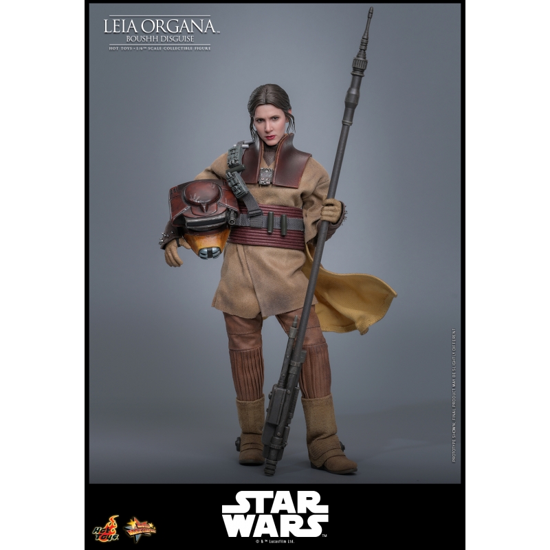 Leia Organa (Boushh Disguise) action figure by Hot Toys